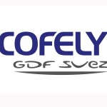 Copie-de-LOGO-COFEly - RCI - Réalisation de Chaufferies Industrielles